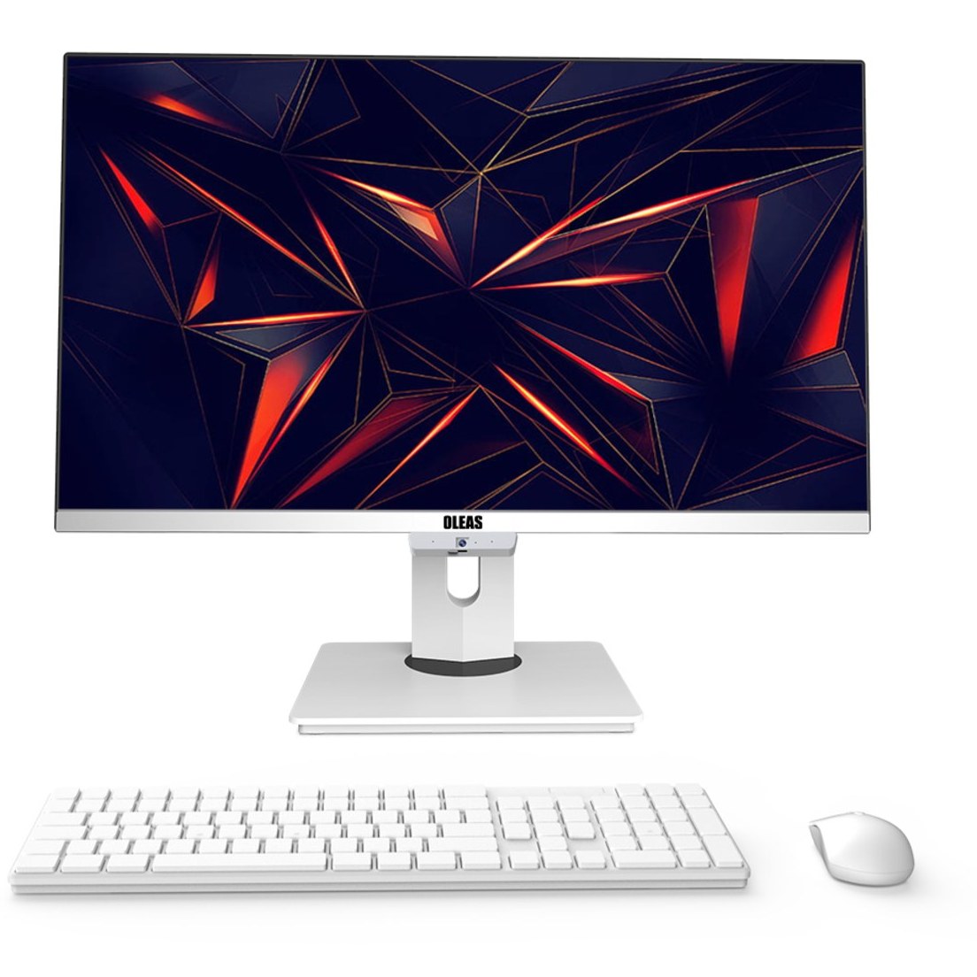 OX25 i3 2120 23.8" 8 GB RAM 256 GB SSD FreeDOS All In One Bilgisayar ...