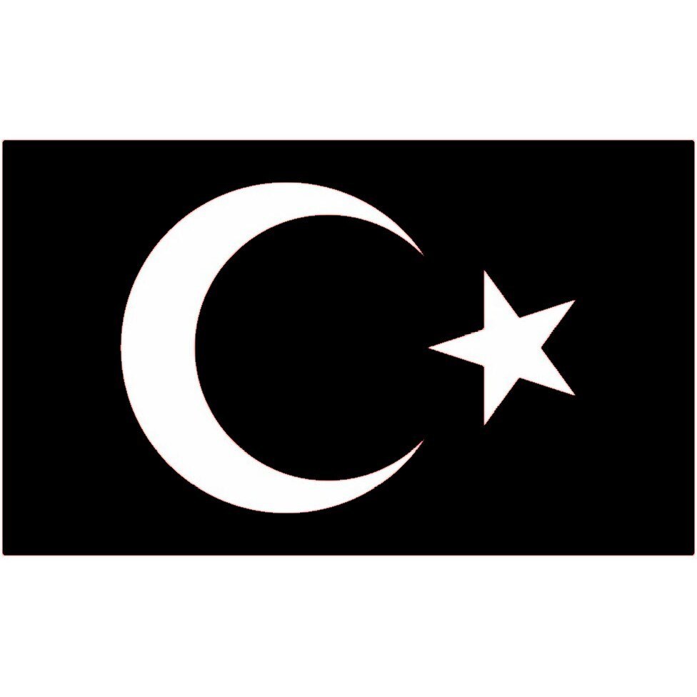 Genel Markalar Türk Bayrağı Sticker (Oto-Motor-Laptop-Duvar-Dekor) 20 x ...