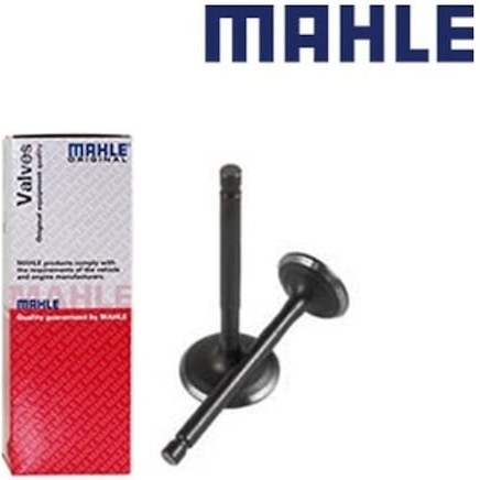 TVS APACHE 180 RTR SUBAP TAKIM ( MAHLE ) Fiyatı ve Özelliklerı - Badem